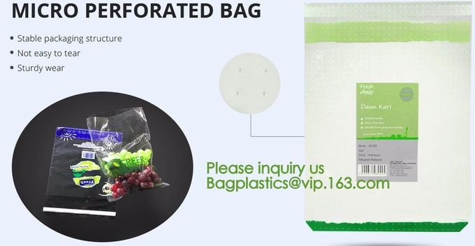 YANTAI BAGEASE PACKAGING PRODUCTS CO.,LTD.