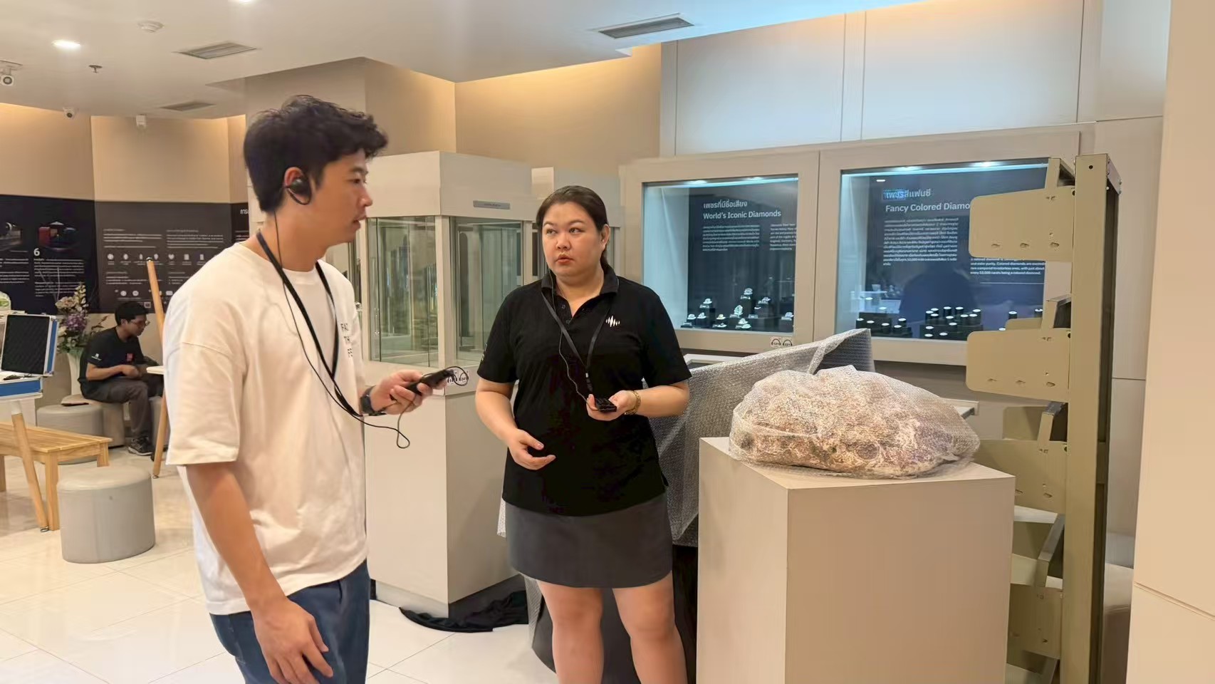 museum solution