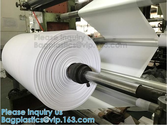 YANTAI BAGEASE PACKAGING PRODUCTS CO.,LTD.