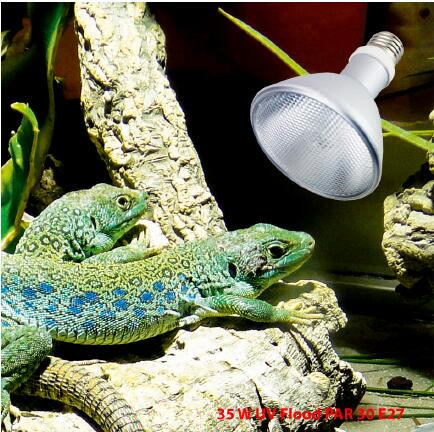 Par30 UVB lamp reptile bulb 35W for Turtles Lizards Parrots