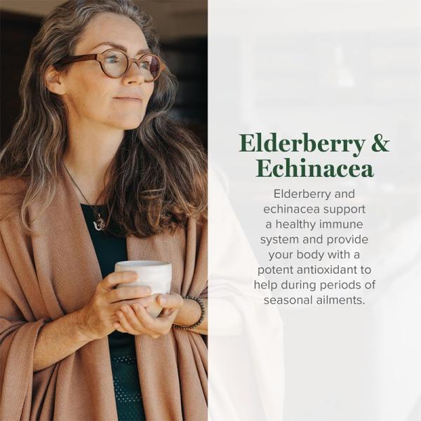 Quality OEM USDA Capsules Supplements Organic Elderberry Echinacea Drops For Immune for sale