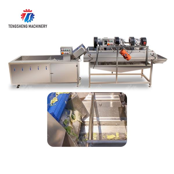 Quality Bubble washing vibration air drying production line Orange Vegetable Herbs Fruit for sale