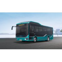 Quality Zero Emission Electric Vehicle Bus Pure Energy Medium Large 8m for sale