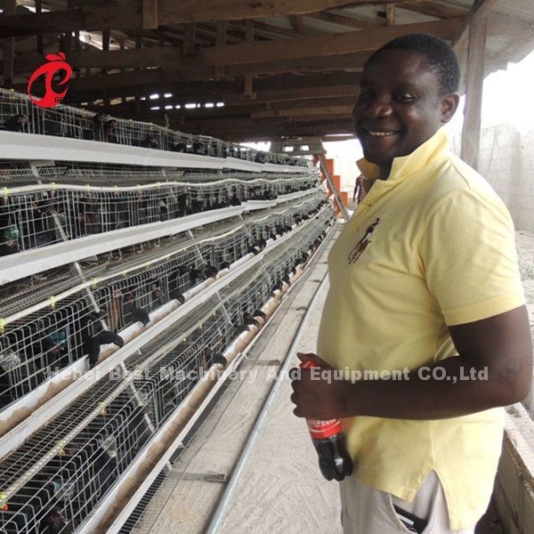 Quality A Type 160 Capacity Layer Battery Cage System , Egg Laying Chicken Cage Sandy for sale