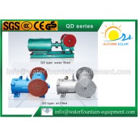 Quality Underwater Swing Motor Cast Iron Water Pump Lightweight 50Hz Electricity Drive for sale