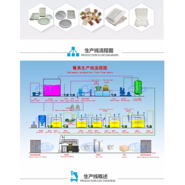 Quality fiber tableware meal box sugarcane bagasse pulp thermoforming machine for sale