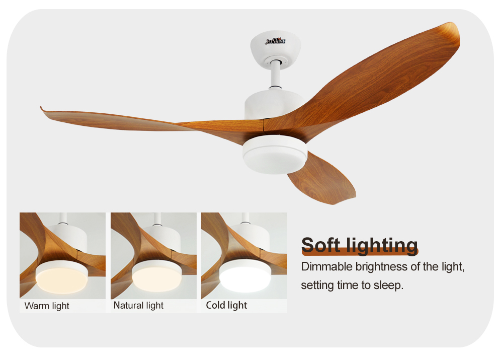 led ceiling fan