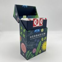 Quality Standard Size Playing Tarot Card Printing Customized Unique Design Four Colors for sale