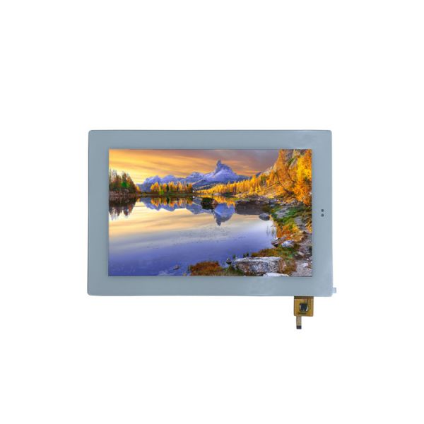 Quality 1920x1200 10.1 Inch Display Tft LCD Capacitive Touchscreen Display Panel 45pin LVDS for sale