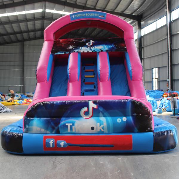 Quality Outdoor Inflatable Water Slide for Children and Adults Accommodates 5-10 for sale