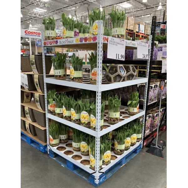 Quality Ez Racks Danish Flower Trolley Ez Container Factory for sale