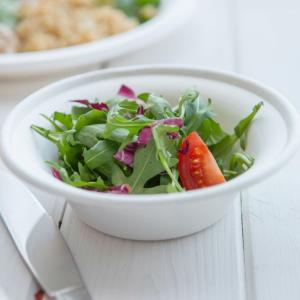 Quality Biodegradable Bagasse Tableware for sale