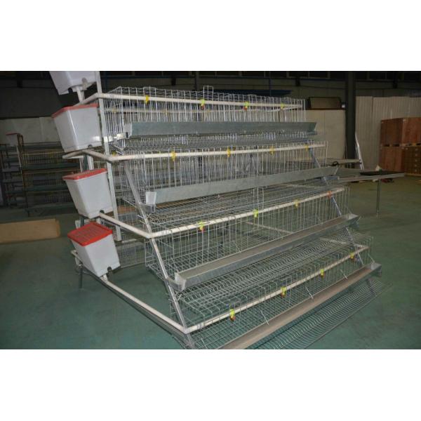 Quality Q235 Layer Chicken Battery Cages Chicken Feeder for Poultry Farms for sale