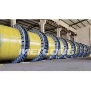 Quality UNS S32750 Encapsulated Control Line Super Duplex 2507 Rilsan Nylon for sale