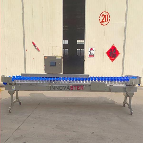 Quality 304 Stainless Steel Dynamic Weight Sorting Machine for Corn Raw Material for sale