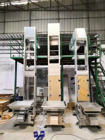 Quality 2L Chain Bucket Elevator Vertical Lifter Conveyor Low Driving Power for sale