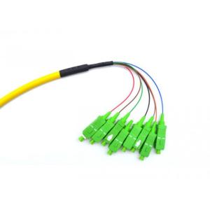 Quality 850nm 1300nm Bundle SM Fiber Optic Pigtail 8 Core SC APC Pigtail for sale