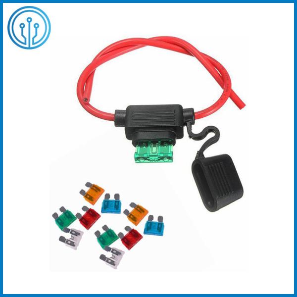 Quality 19x19mm 50a Car Fuse Auto Blade Fuses for sale