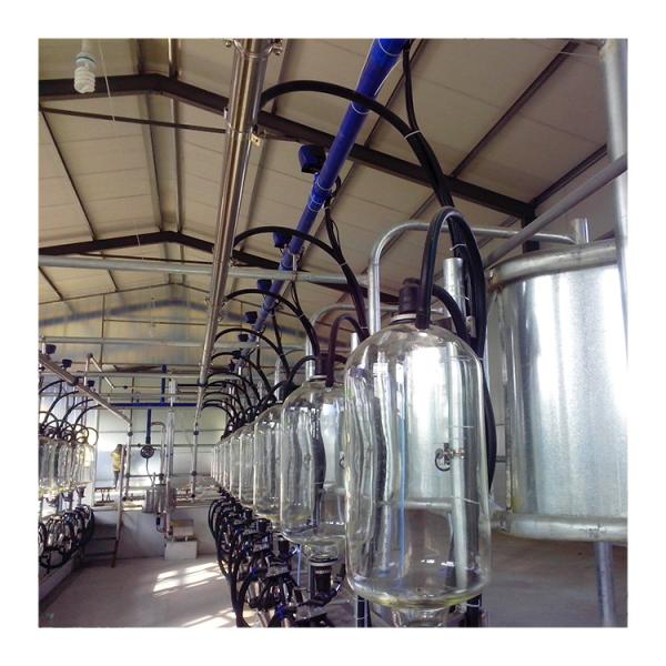 Quality Dairy Farm Fishbone Automatic Herringbone Milking Parlour Low Noise for sale