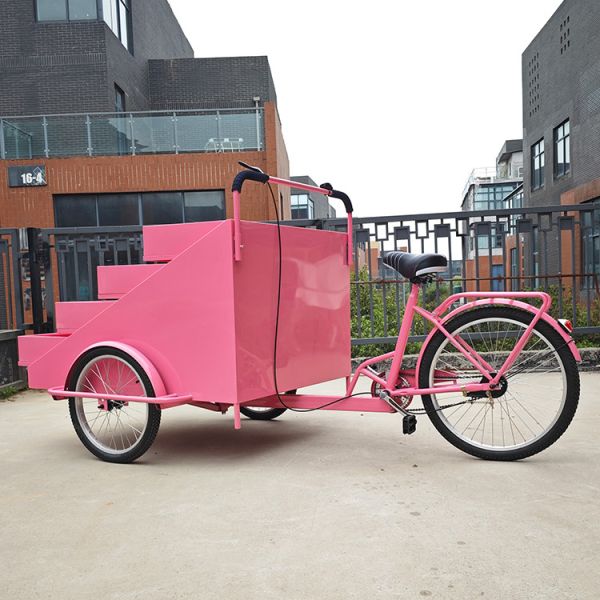 Quality Mobile Juice Vending Three Wheel Tricycle Food Cart for Coffee and Pizza Delivery for sale