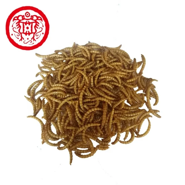 Quality yee factory cost stock fish meal animal feed dry meal worm dry mealworm dried mealworms for sale