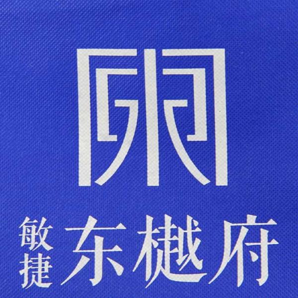 Quality Heat Transfer Non Woven Polypropylene Shopping Bags Blue Anti Pull for sale