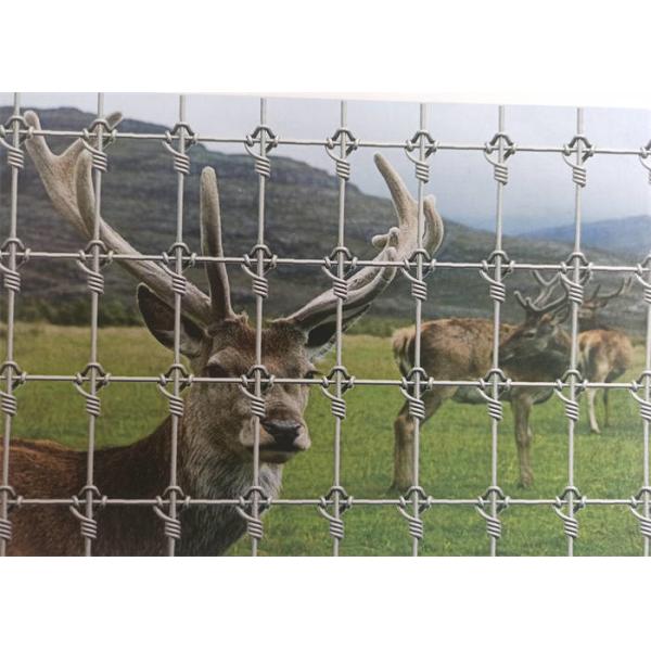 Quality Hot Dipped Galvanzied Field Wire Fence / Fixed Knot Deer Fencing for sale