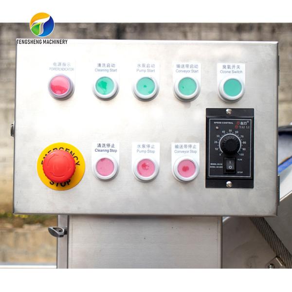 Quality 2.6KW Impurity Filter Fruit And Vegetable Washing Machine Citrus Apple for sale
