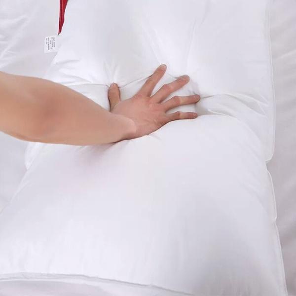 Quality Dust Resistant Hotel Quality Down Pillows Customized For Adults for sale