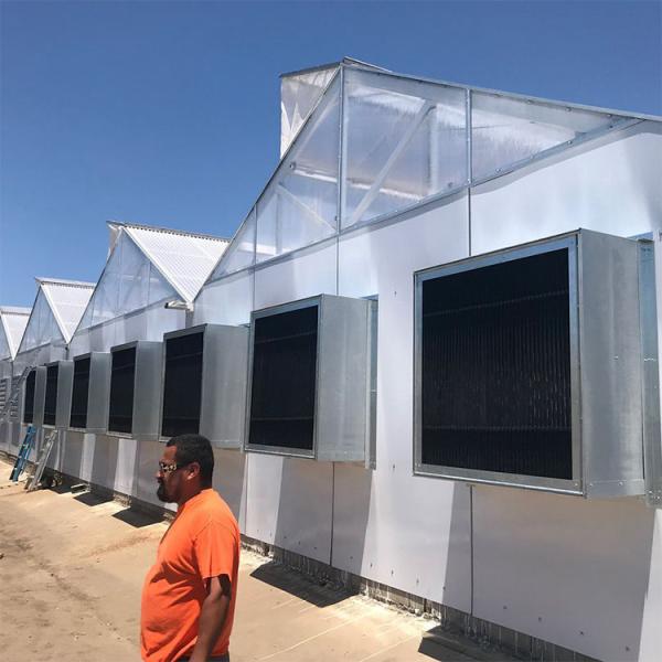 Quality Blackout System Polycarbonate Auto Light Dep Poly Greenhouses 30-60m for sale