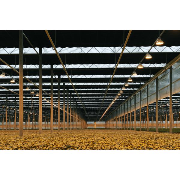 Quality Commercial Automated Blackout Greenhouse / Light Deprivation Greenhouse for sale