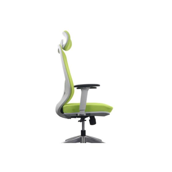 Quality Green Mesh Adjustable Ergonomic Chair , H1165-1260MM Ergo Computer Chair for sale