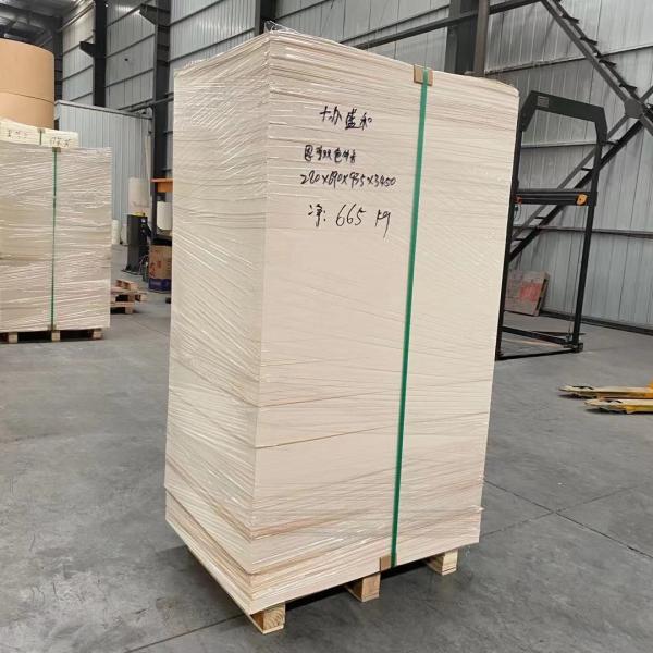 Quality 165gram 185gram Paper Cup Sheet Paper Cup Making Raw Material for sale