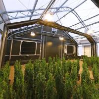 Quality Pc Sheet Cannabis Blackout Light Deprivation Greenhouse Agriculture Plants Growing for sale