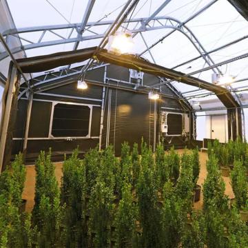 Pc Sheet Cannabis Blackout Light Deprivation Greenhouse Agriculture Plants