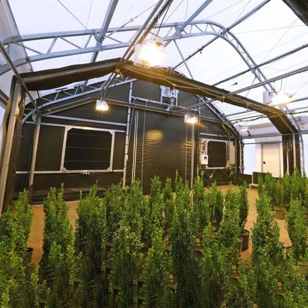 Quality Auto Light Dep Blackout System Greenhouse 100% Shading Marijuana Growing for sale