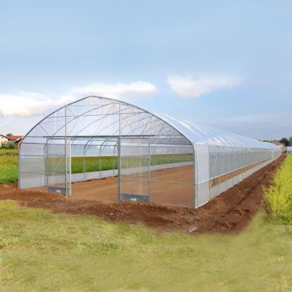 Quality High Hoop Tunnel Polyethylene Film Greenhouse For Agriculture for sale