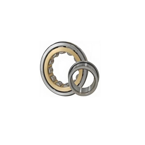 Quality NCF213V Excavator Bearing Full Complement Cylindrical Roller Bearing for sale