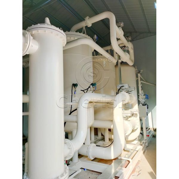 Quality Special Airflow Distribution Structure VPSA Oxygen Generator 93% Purity for sale