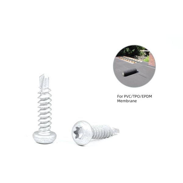 Quality Zinc Alloy Coated Self Tapping Screw 6.3x25 For Roofing Membrane And Payment term T/T for sale
