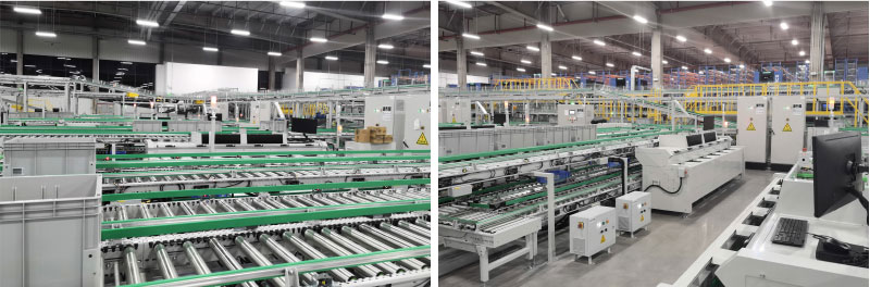 Box Conveyor & Sorting System 