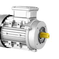 China Ac 3 Phase Induction Motor Squirrel Cage Double factory