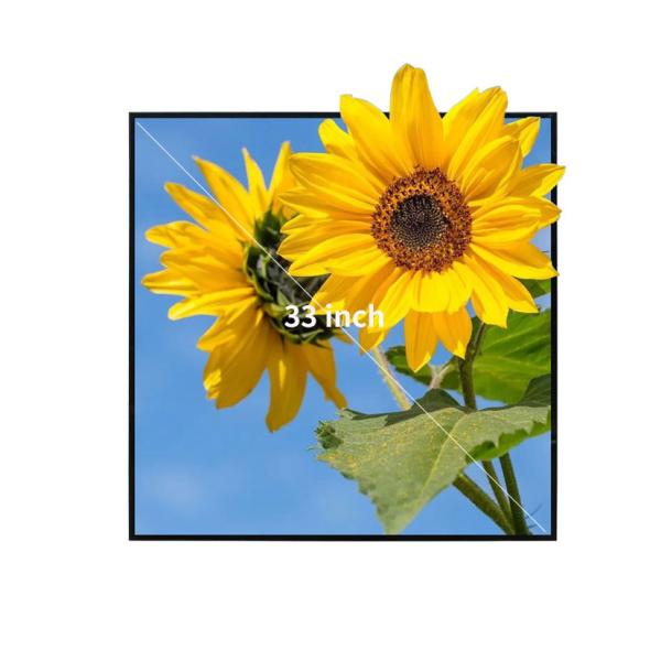 Quality 22 Inch Advertising Square LCD Display NFT 450nits 1920x1920 for sale