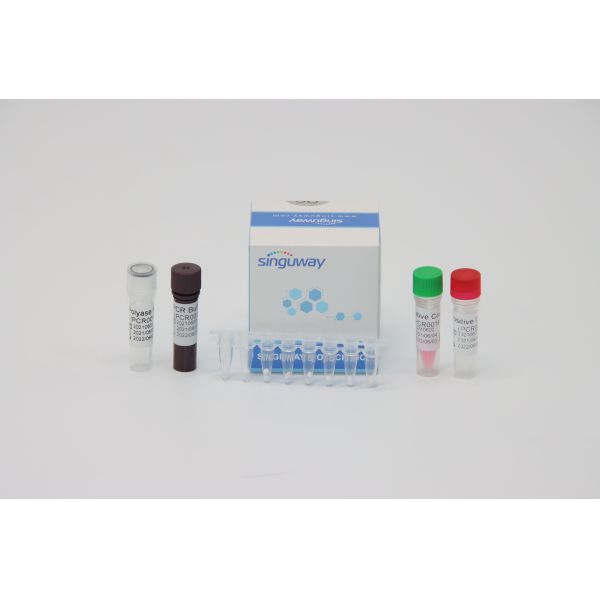 RT PCR Test Kit - Oral Swab Highly Accurate RT PCR Collection Kit IVD ...