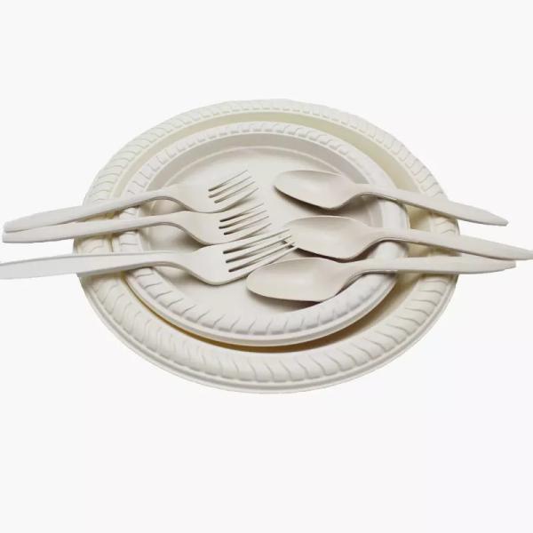 Quality 9in 10in Round Cornstarch Disposable Plates Biodegradable Round Plate Tableware for sale
