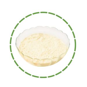 Quality 100 Billion Agricultural Probiotics Bacillus Subtilis Fungicide Microbial for sale