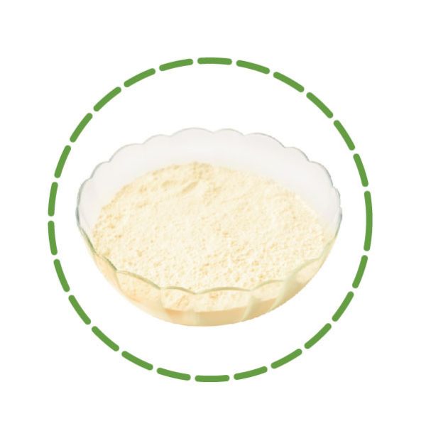 Quality 100 Billion Agricultural Probiotics Bacillus Subtilis Fungicide Microbial for sale
