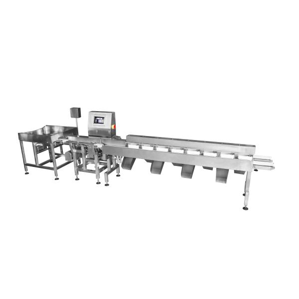 Quality High Speed Accuracy 200 pcs/min Weight Grader Machine For Abalone Fish for sale