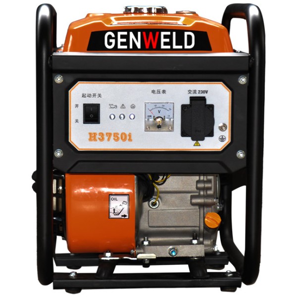 Quality AVR Protection Gasoline Inverter Generator for sale