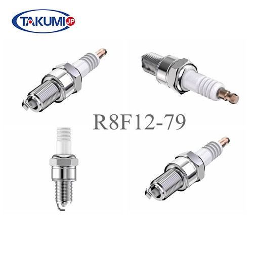 Quality Bosch 7315 CHAMPION RN79 DENSO Brush Cutter Spark Plugs for sale